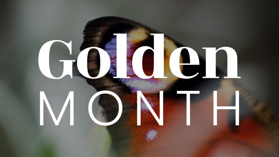 Global Dimension › Articles › Reboot the Future